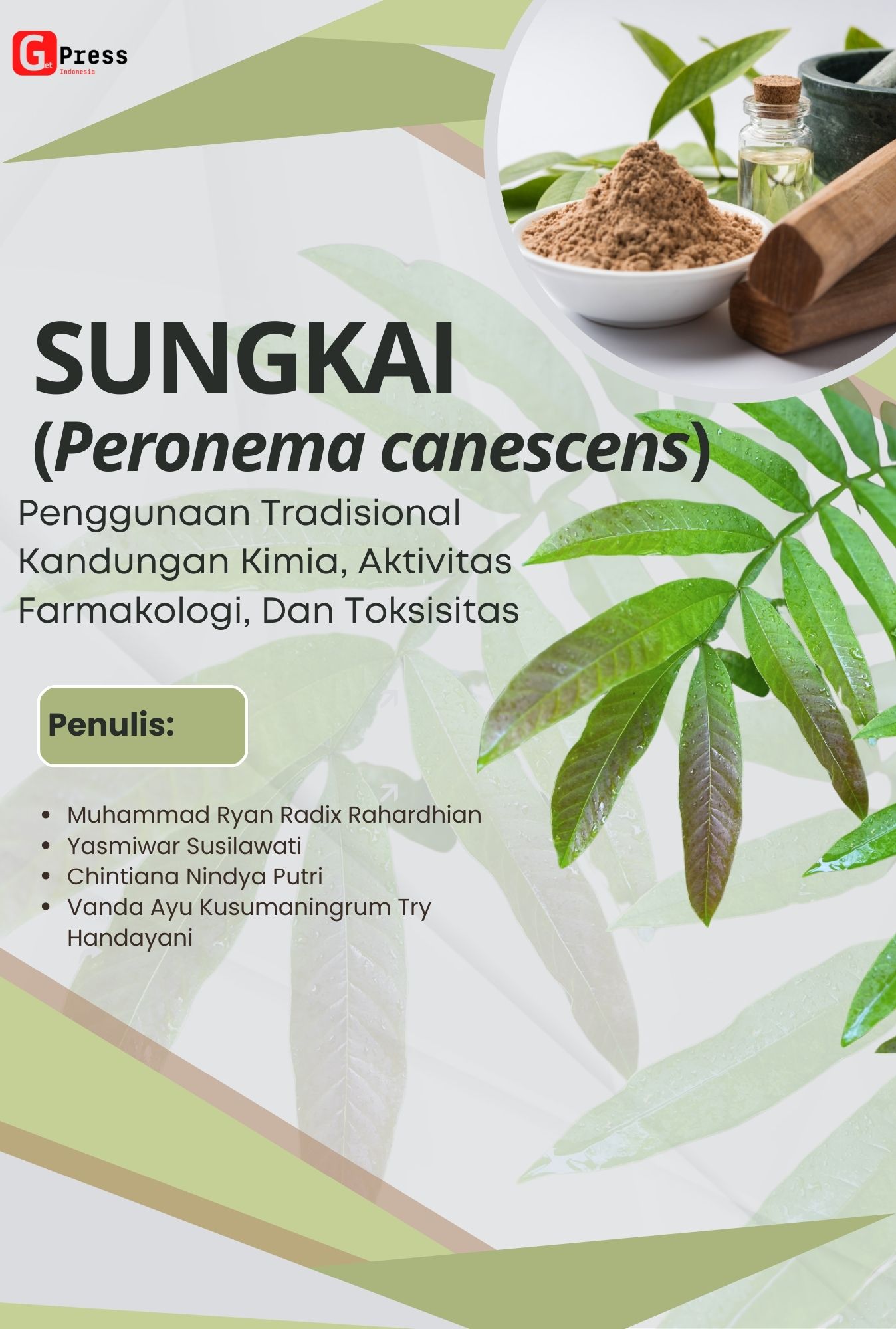 Sungkai (Peronema Canescens) Penggunaan Tradisional, Kandungan Kimia ...